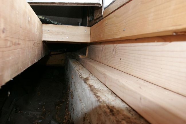 Framing Repair